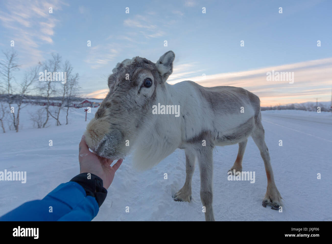 Donkey farm india hi-res stock photography and images - Alamy