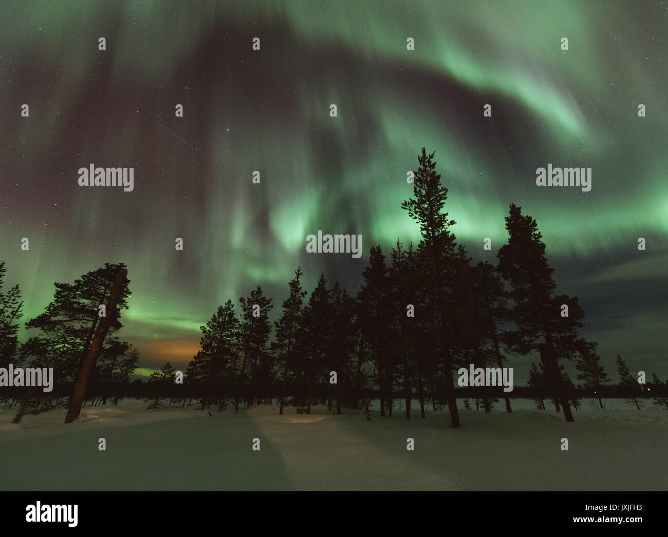 Frozen land in scandinavia and Aurora in the sky Stock Photo - Alamy