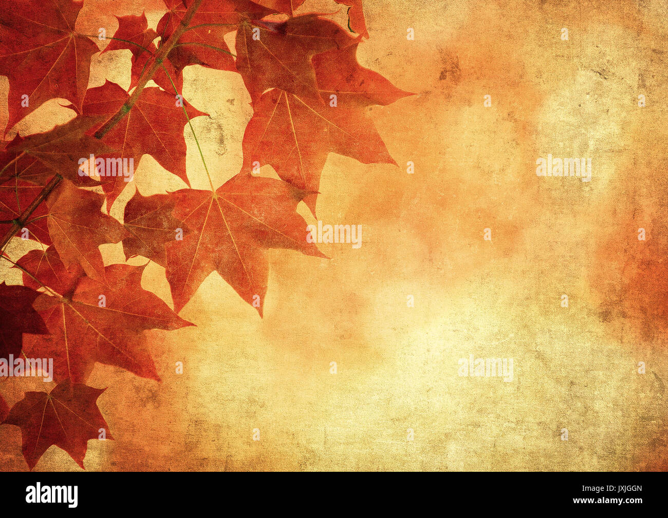 grunge background with autumn leaves Stock Photo - Alamy