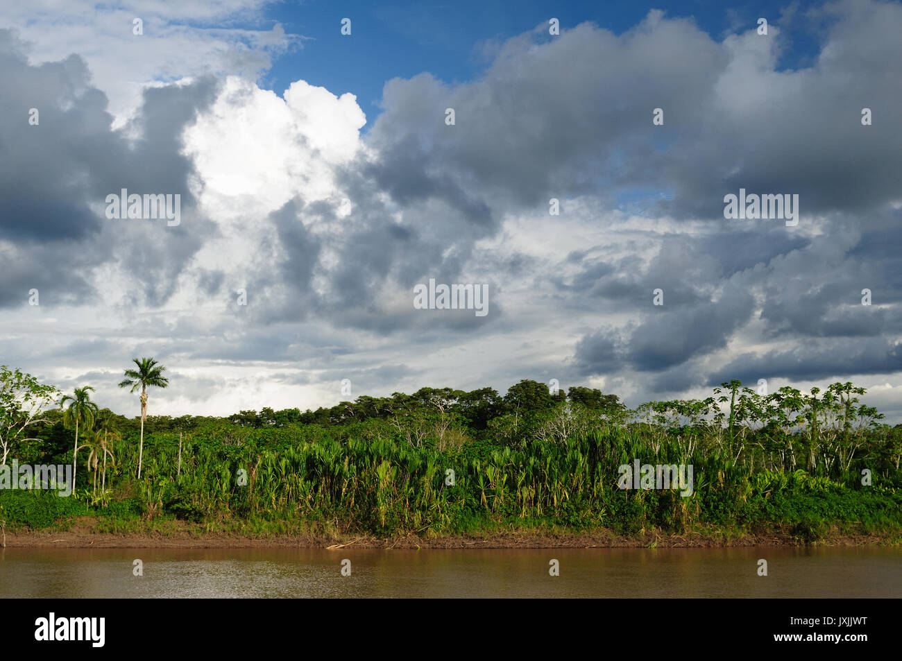 Peru, Peruvian Amazonas landscape. The photo present Amazonas forest no ...