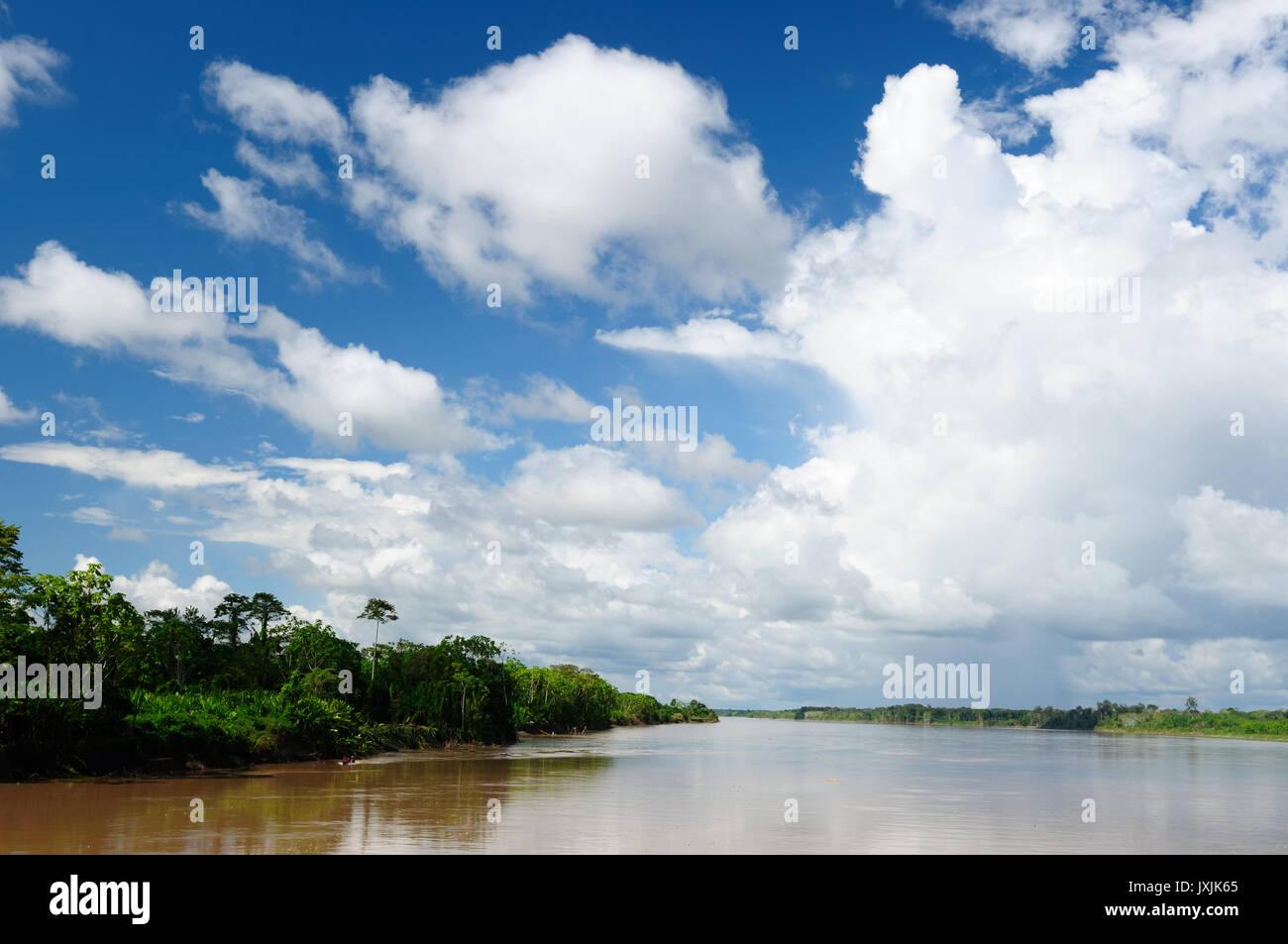 Amazonas landscape. The photo present Amazon river, Brazil Stock Photo ...