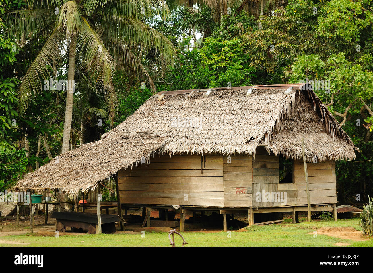 Peru, Peruvian Amazonas landscape. The photo present typical indian ...