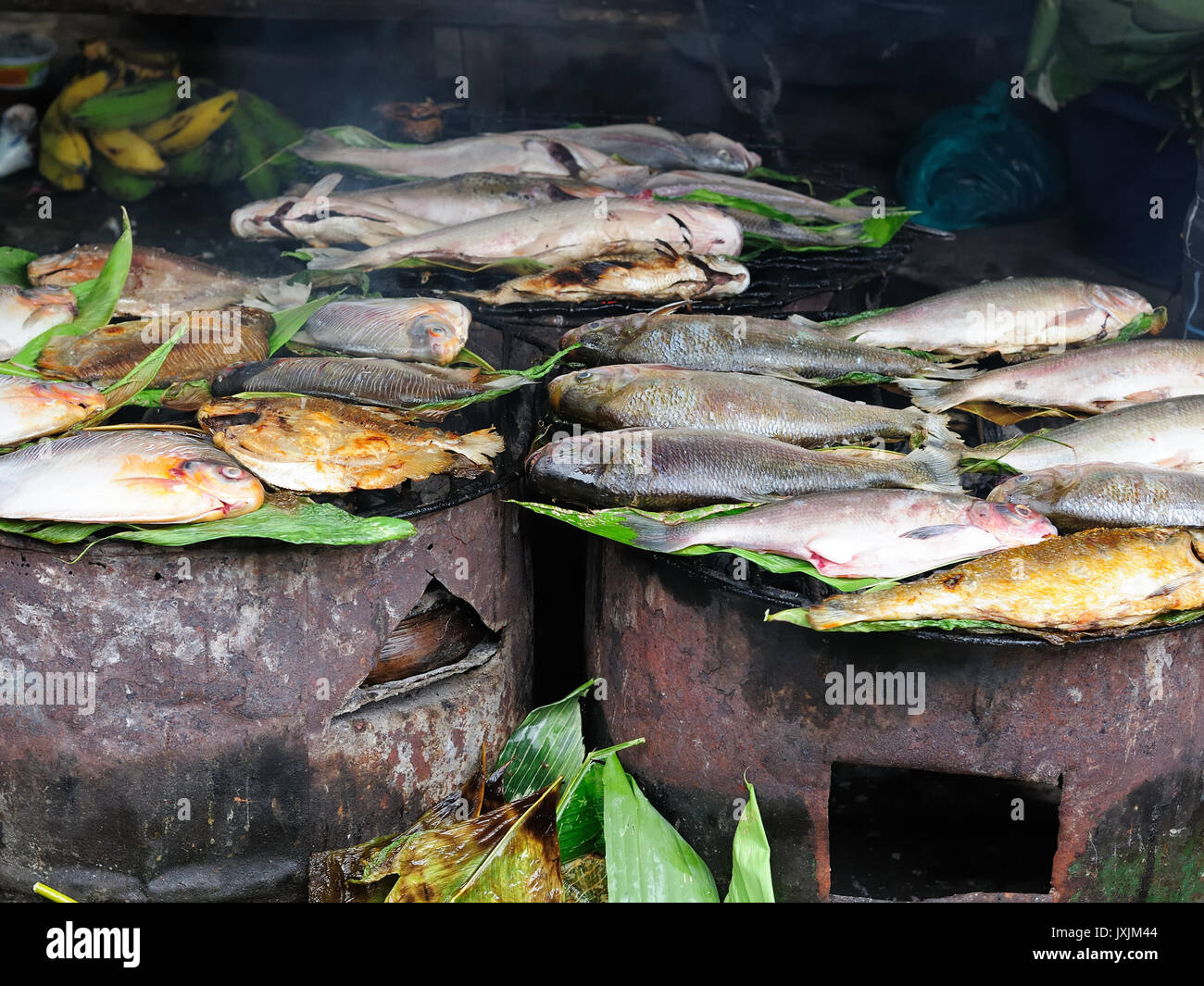 South America, Turtle soup served from the large shell of the turtle on ...