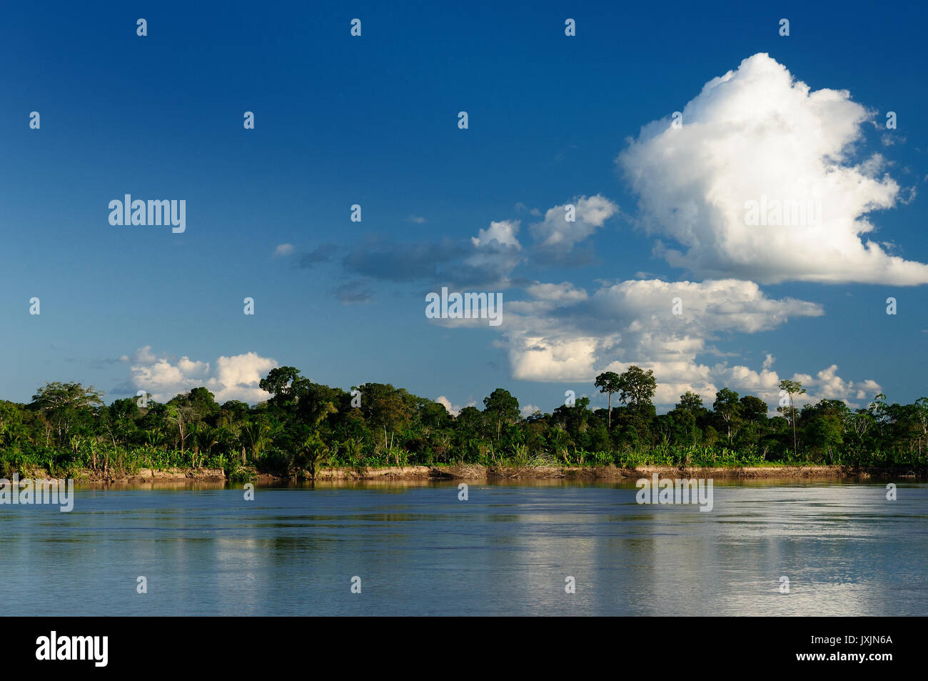 Amazonas landscape. The photo present Amazon river, Brazil Stock Photo ...