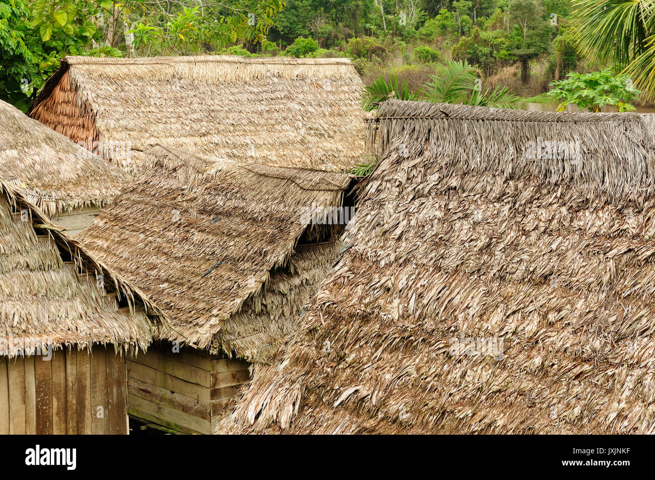 Typical indian tribes settlement in the Peruvian Amazonas Stock Photo ...