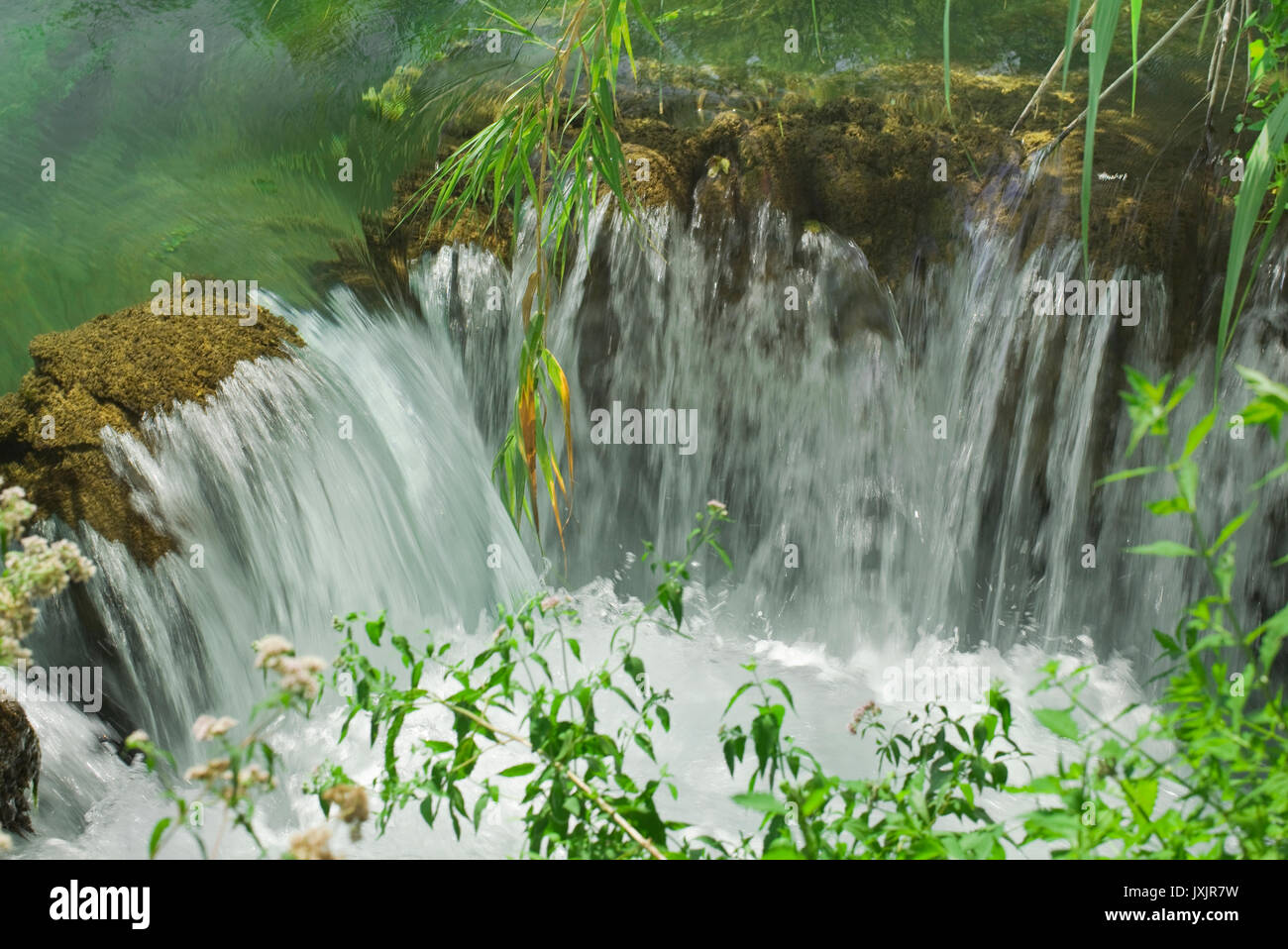 Brook rivulet hi-res stock photography and images - Alamy