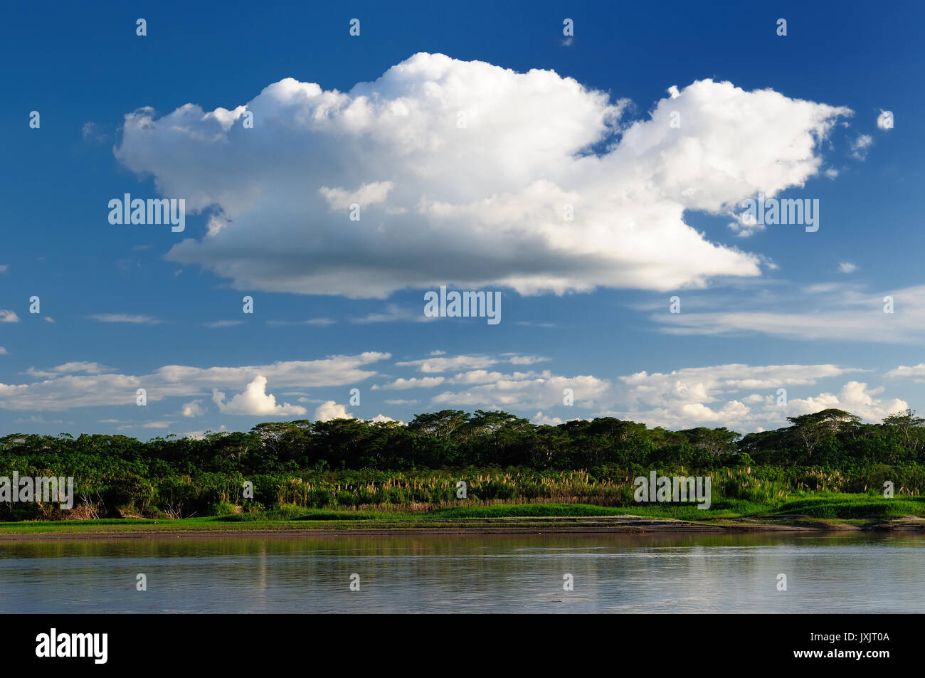 South America, Amazonas landscape. The photo present Amazon river ...