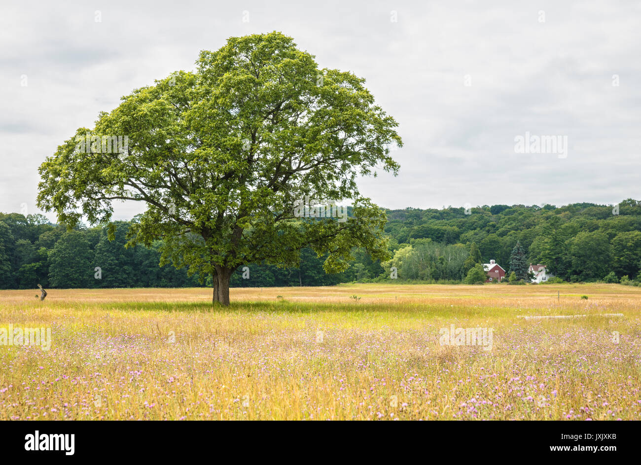 Old indian trail hi-res stock photography and images - Alamy