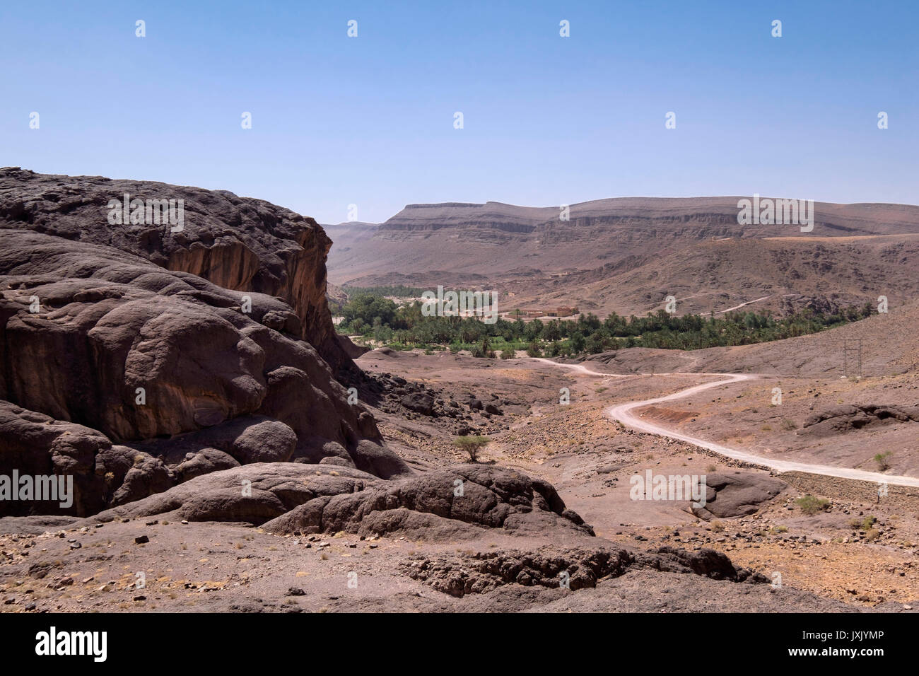 Fint hi-res stock photography and images - Alamy