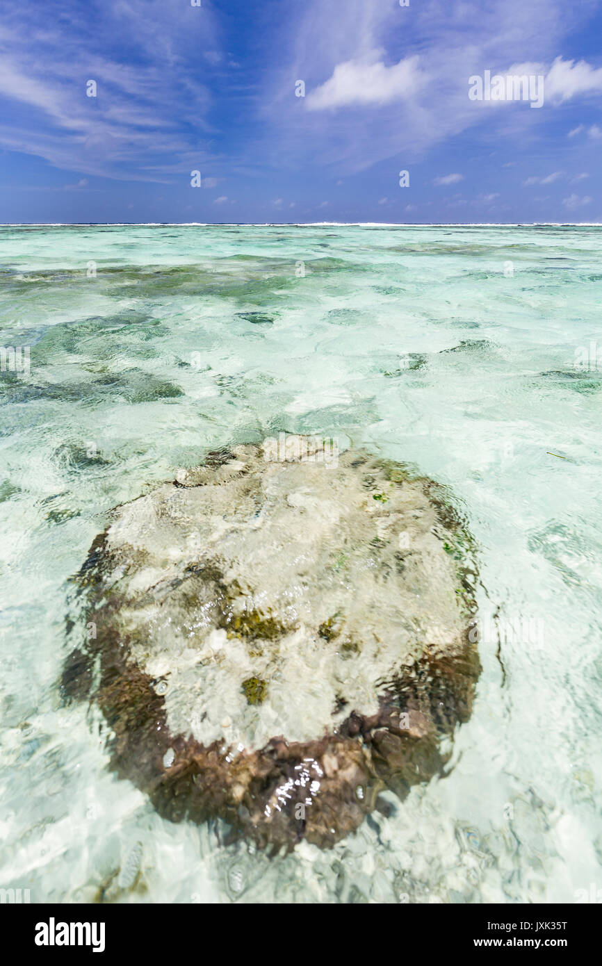 Turquoise water and coral reef at Anse Source D'Argent in La Digue ...