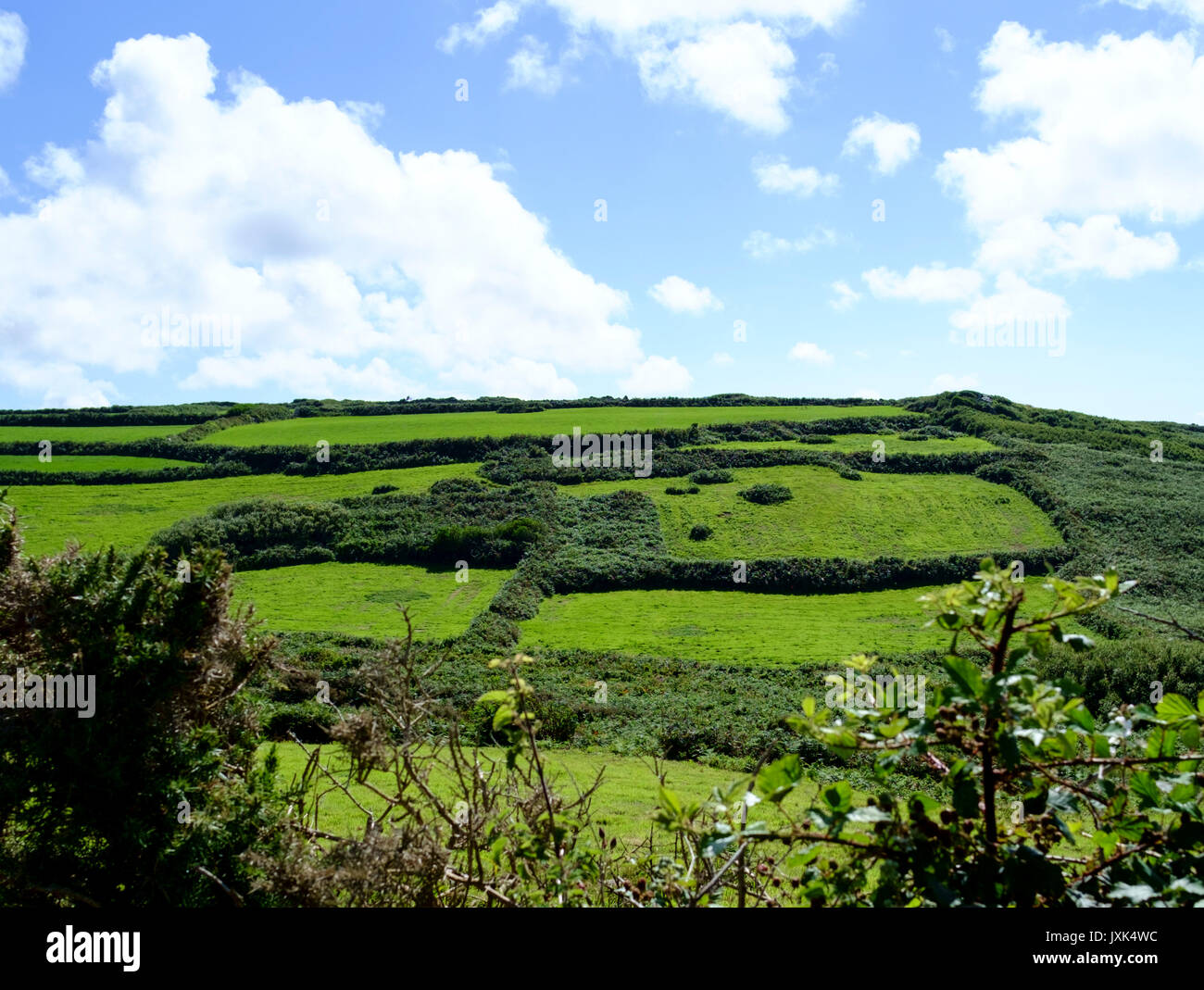 Near the Cornish Village of Zennor, Cornwall england UK Stock Photo - Alamy