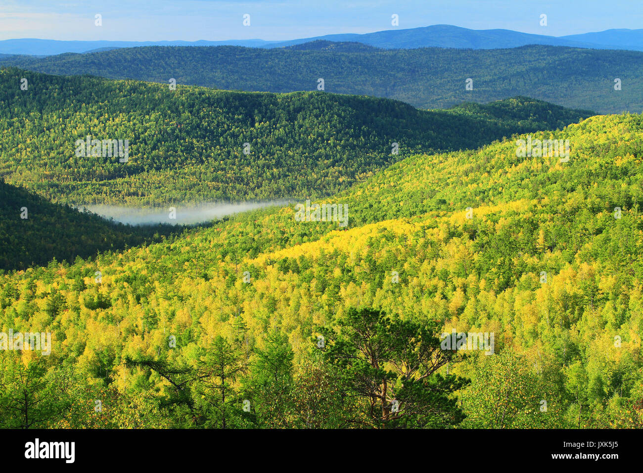 Greater Khingan Range autumn of Heilongjiang Province,China Stock Photo ...