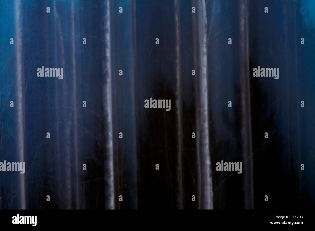 Experiment tree trees fog hi-res stock photography and images - Alamy