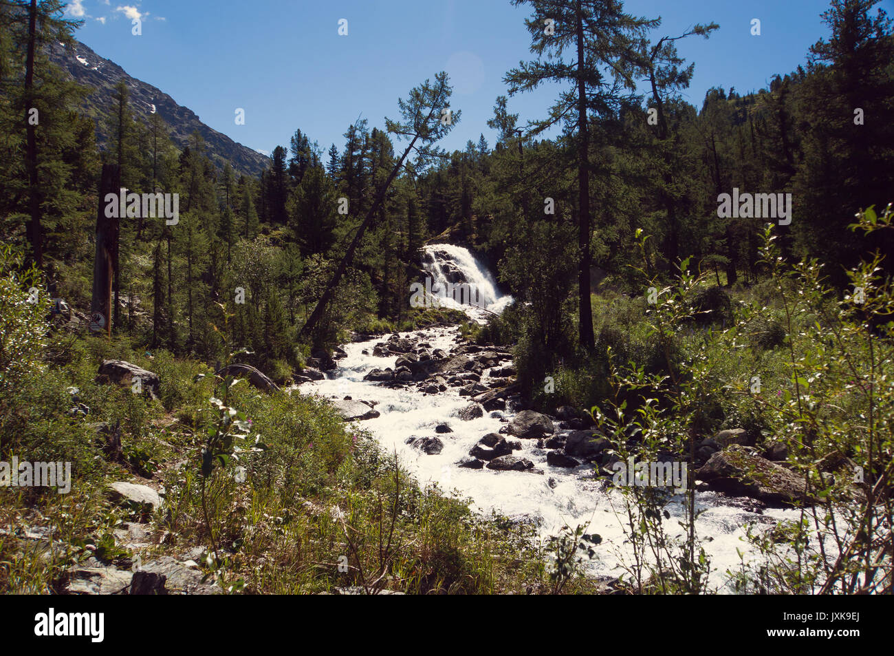 Beautiful waterfall in Siberia Altai Russia. The wildlife of the ...