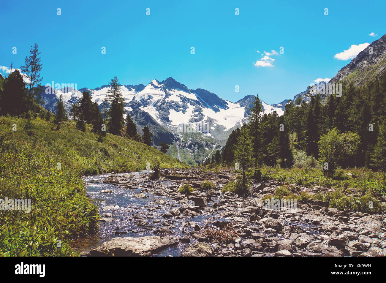 landscape with mountains, forest and a river in front. beautiful ...