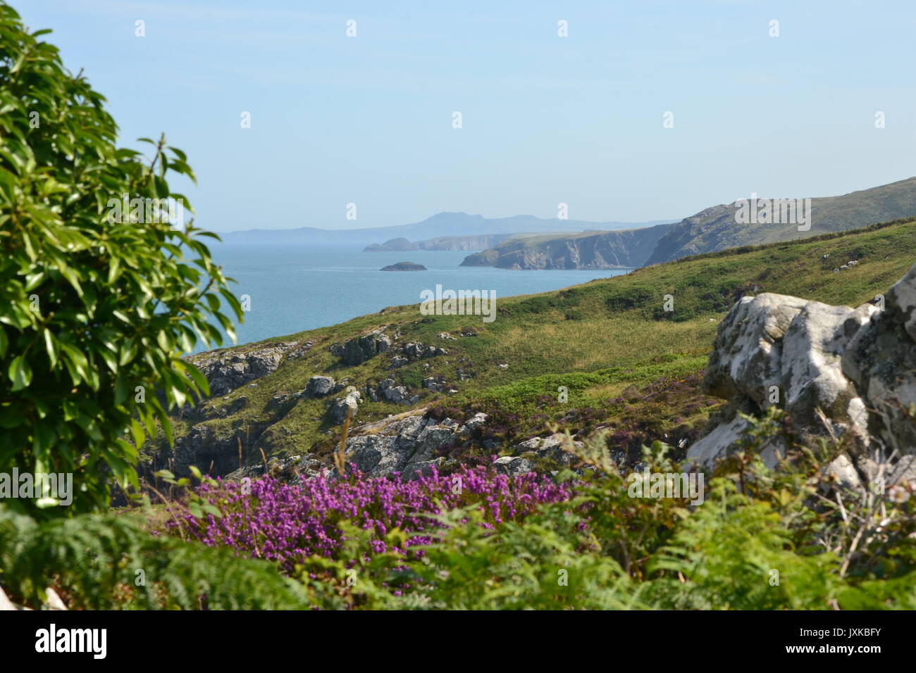 View of Cardigan Bay coastline from Pembrokeshire coastal path walking ...