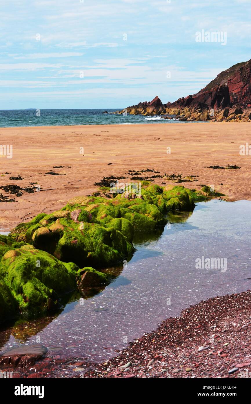 Beach at Westdale Bay on the Dale Peninsula showing the sea, rock pool ...