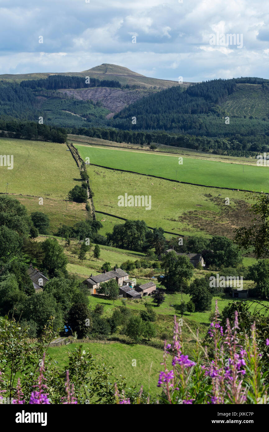 Shutlingsloe Hill Stock Photos & Shutlingsloe Hill Stock Images - Alamy