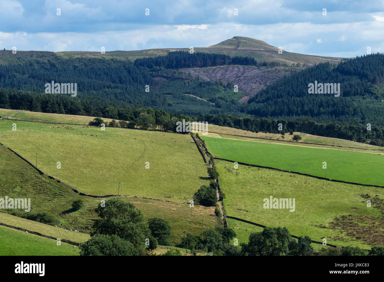 Shutlingsloe Hill Stock Photos & Shutlingsloe Hill Stock Images - Alamy