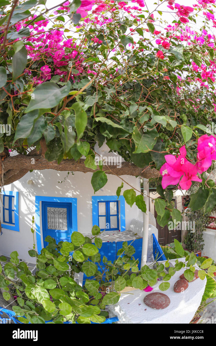 Traditional greek house with flowers in Oia village on Santorini island ...