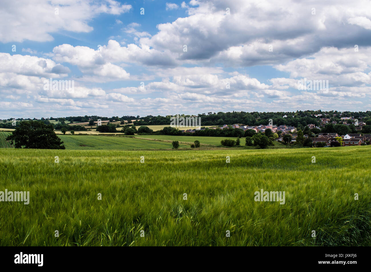 Leicestershire Countryside High Resolution Stock Photography and Images ...