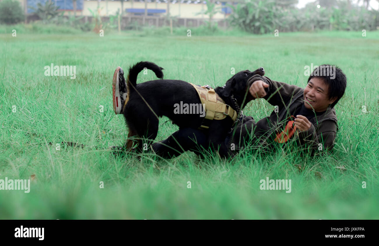 Puppy kitten training hi-res stock photography and images - Alamy