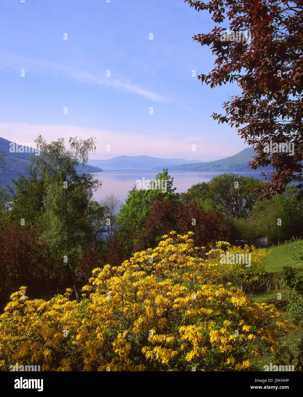 Fearnan hi-res stock photography and images - Alamy