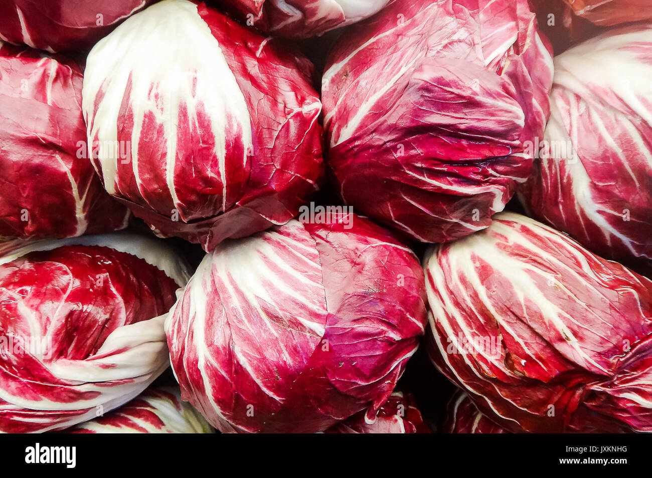 Forming cabbage head hi-res stock photography and images - Alamy