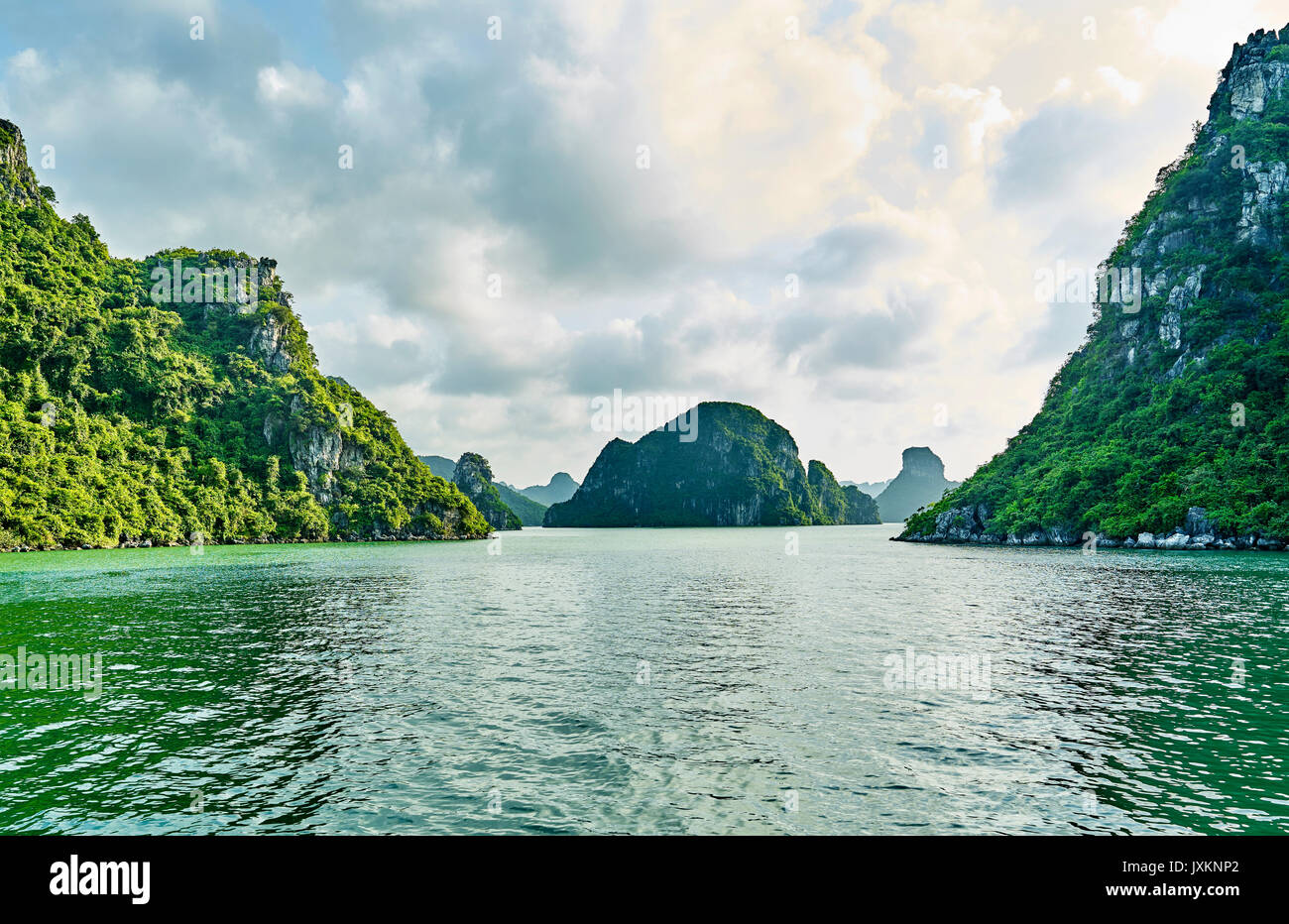 beautiful green limestone mountains in halon bay vietnam asia Stock ...