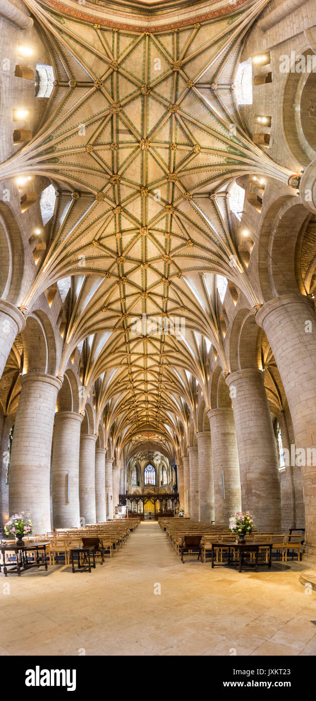 Tierceron vaulting hi-res stock photography and images - Alamy