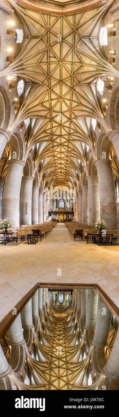 Tierceron Vaulting High Resolution Stock Photography and Images - Alamy