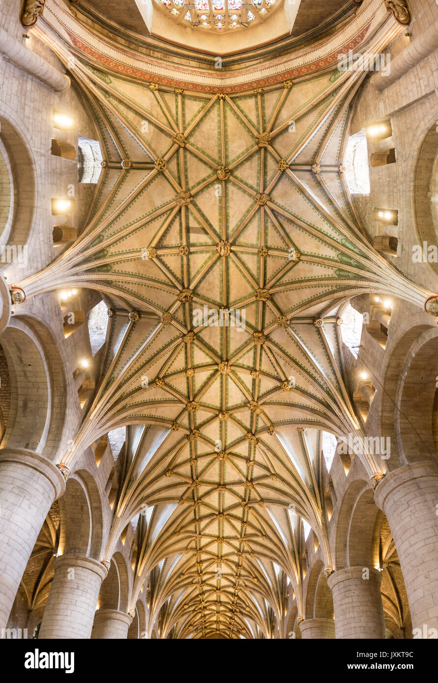 Tierceron High Resolution Stock Photography and Images - Alamy