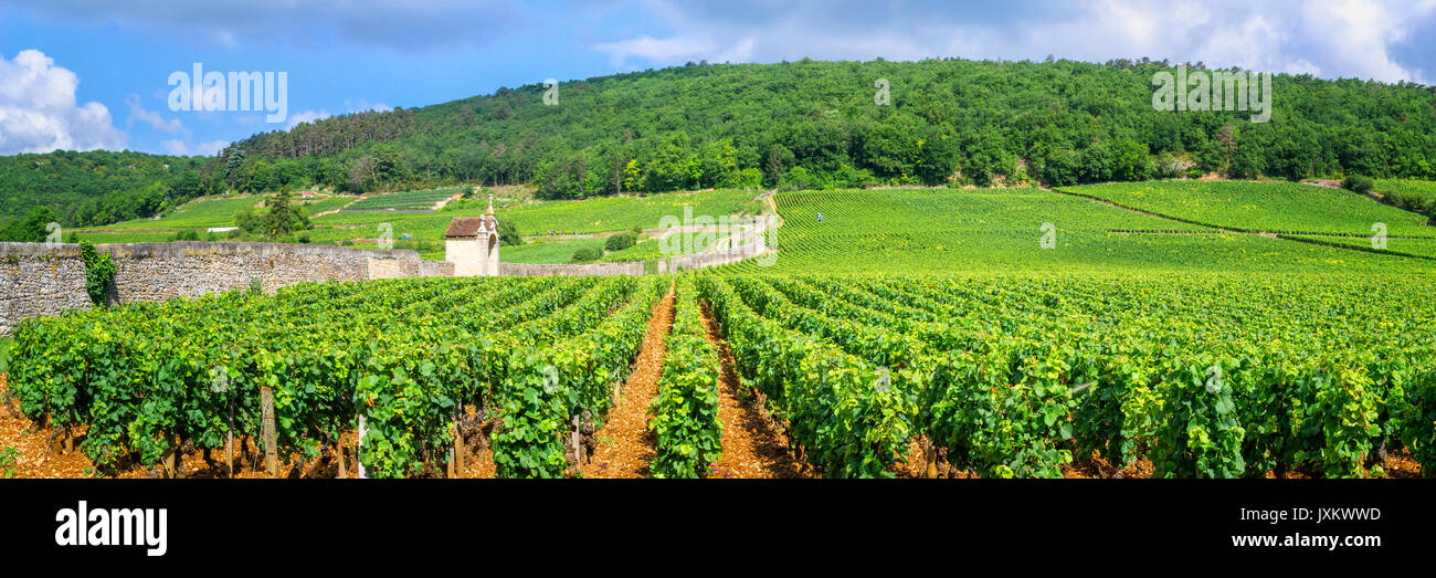 Bourgogne vineyard hi-res stock photography and images - Alamy