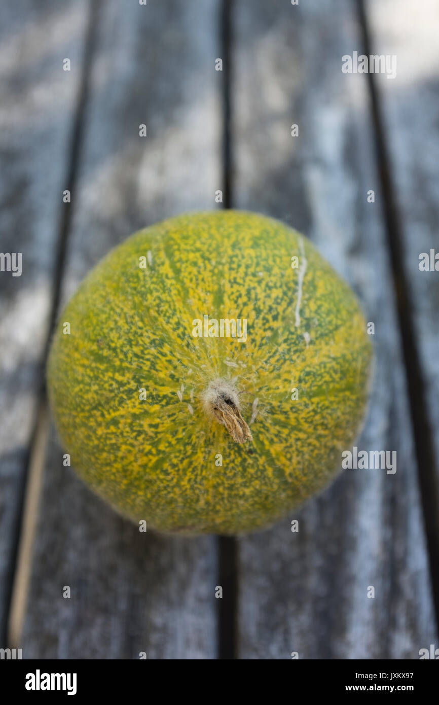 Homegrown miniature melon on a rustic wooden table Stock Photo - Alamy
