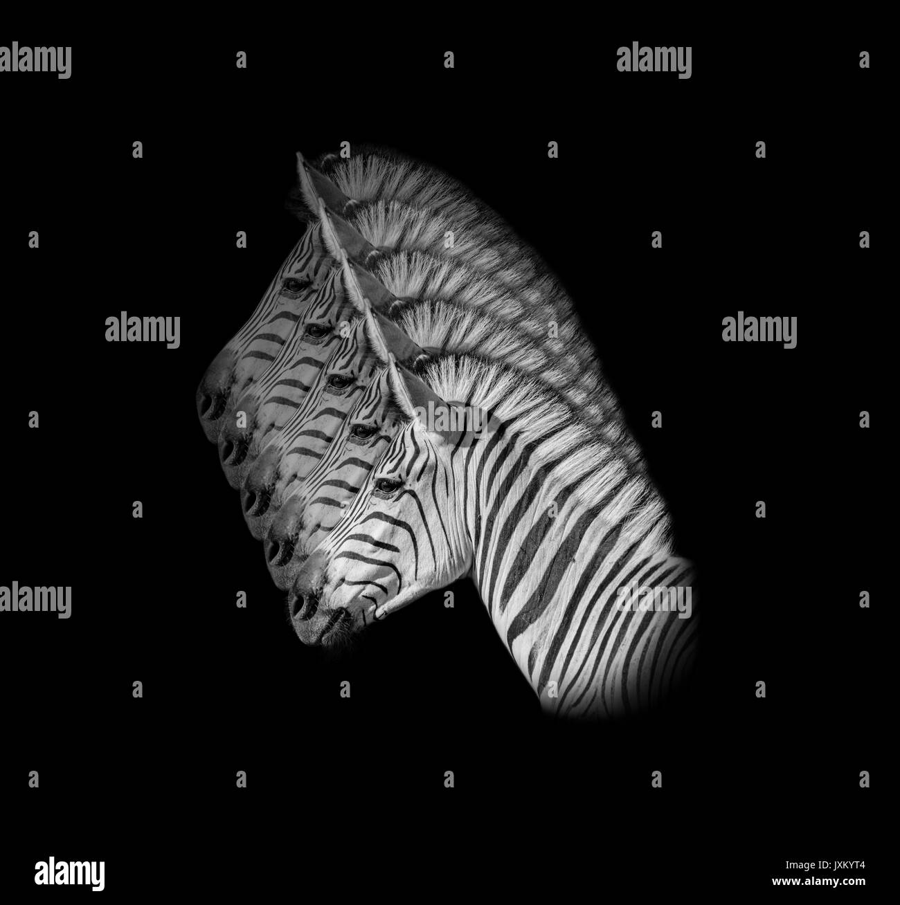 Staggered layers Black and White Stock Photos & Images - Alamy