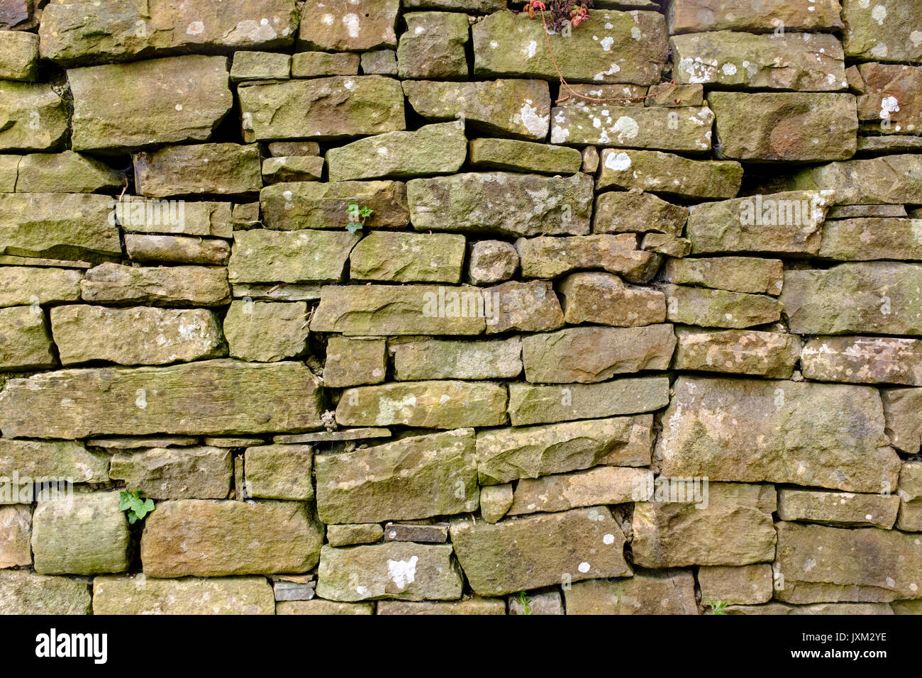 Detail of a dry stone wall Stock Photo - Alamy