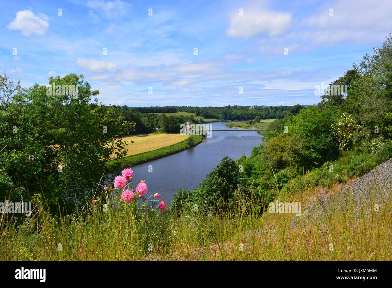 Tweed river hi-res stock photography and images - Alamy