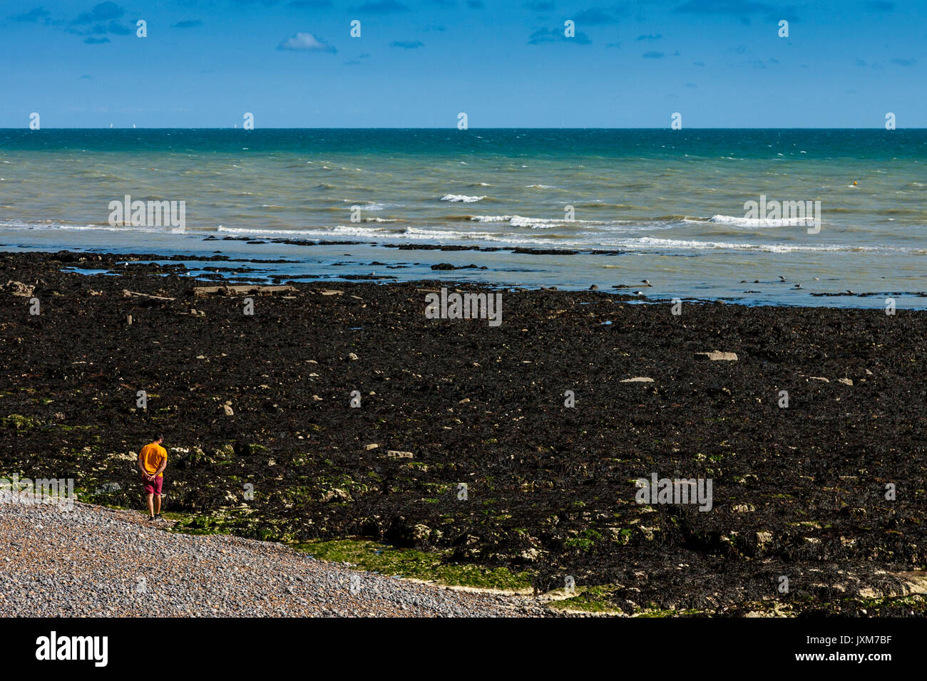 Rottingdean beach hi-res stock photography and images - Alamy