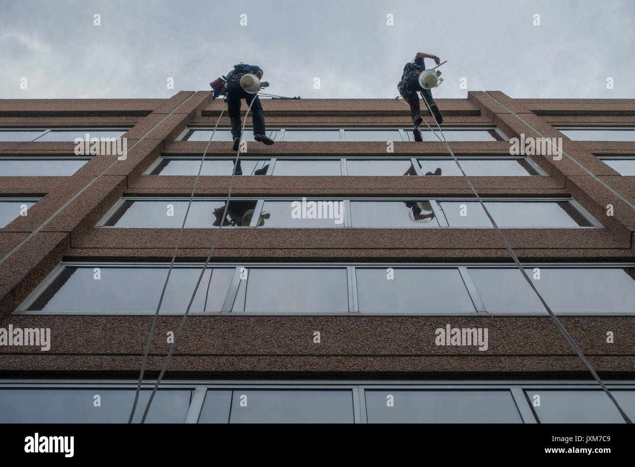 Two men cleaning office windows high up Stock Photo - Alamy