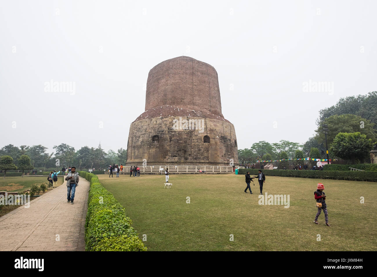 India, Varanasi, Sarnath temple, archaeological site Stock Photo - Alamy
