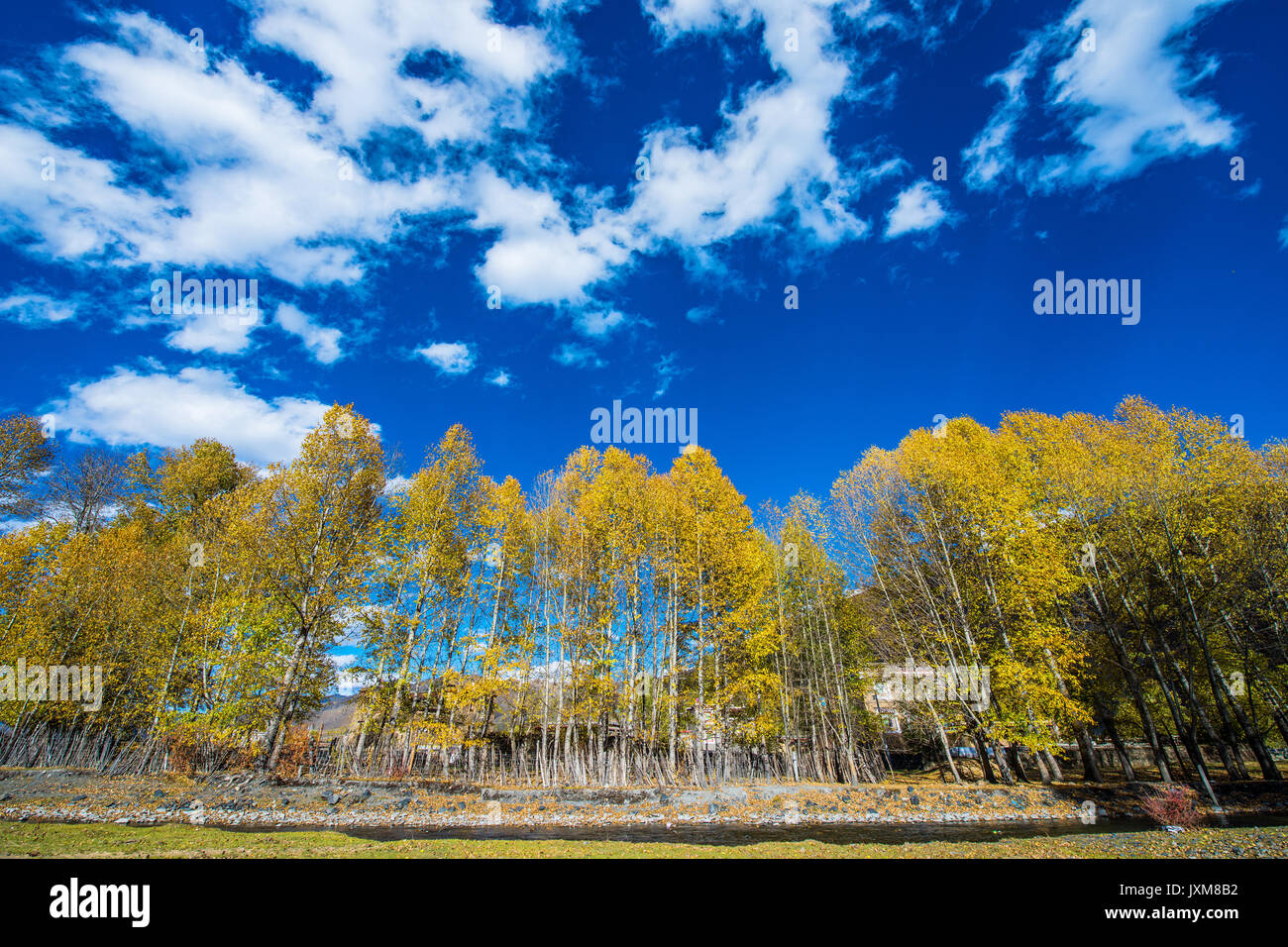 Xindu bridge scenery hi-res stock photography and images - Alamy