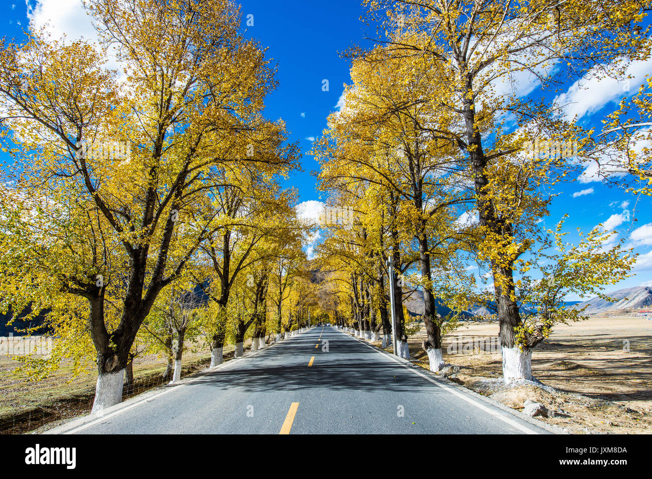 Xindu bridge scenery hi-res stock photography and images - Alamy
