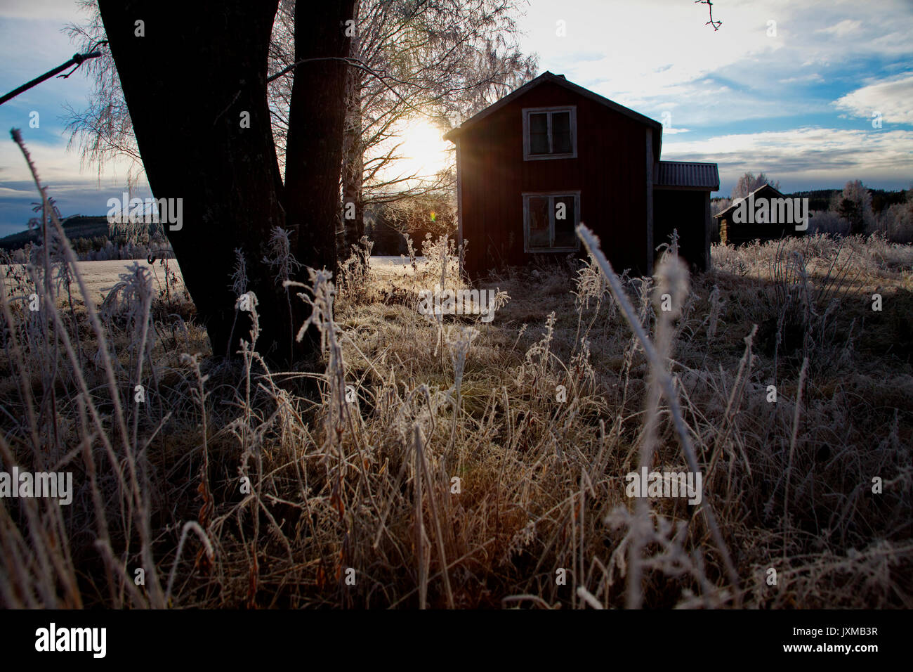 Wooden house on a frosty autumn morning in Sweden Stock Photo - Alamy