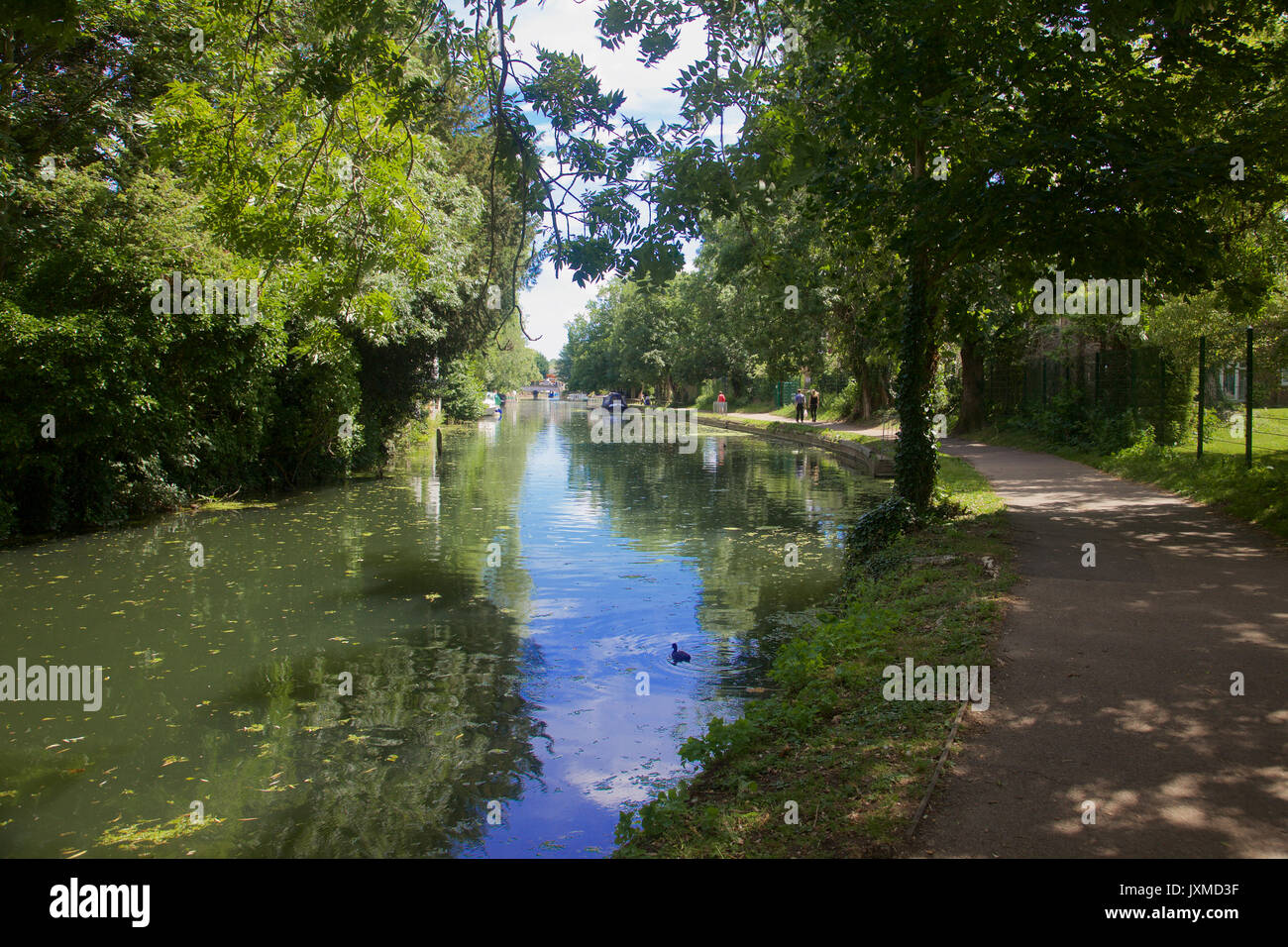 The River Lee, Ware, Hertfordshire, England Stock Photo - Alamy