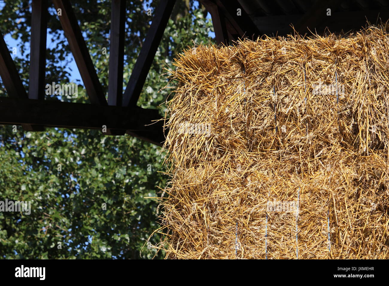 Straw stacked in the stable shed to feed the horses Stock Photo - Alamy