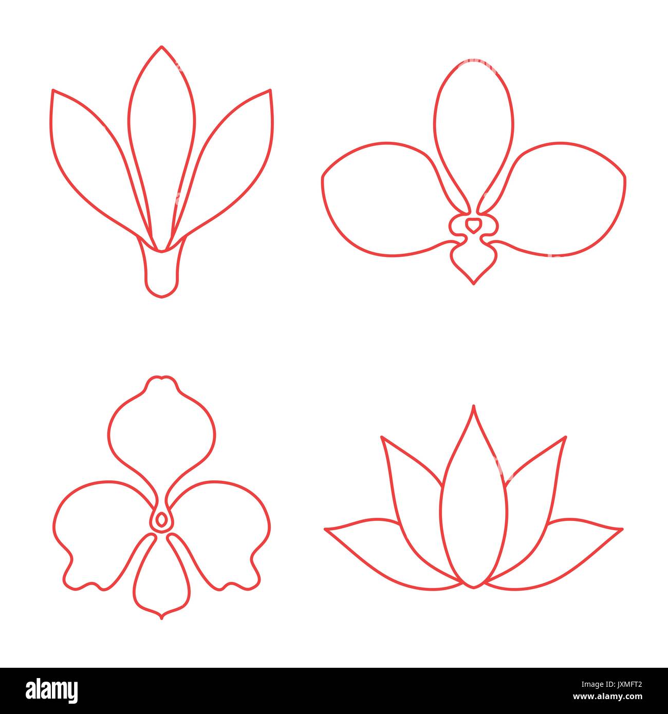 Line art iris Cut Out Stock Images & Pictures - Alamy