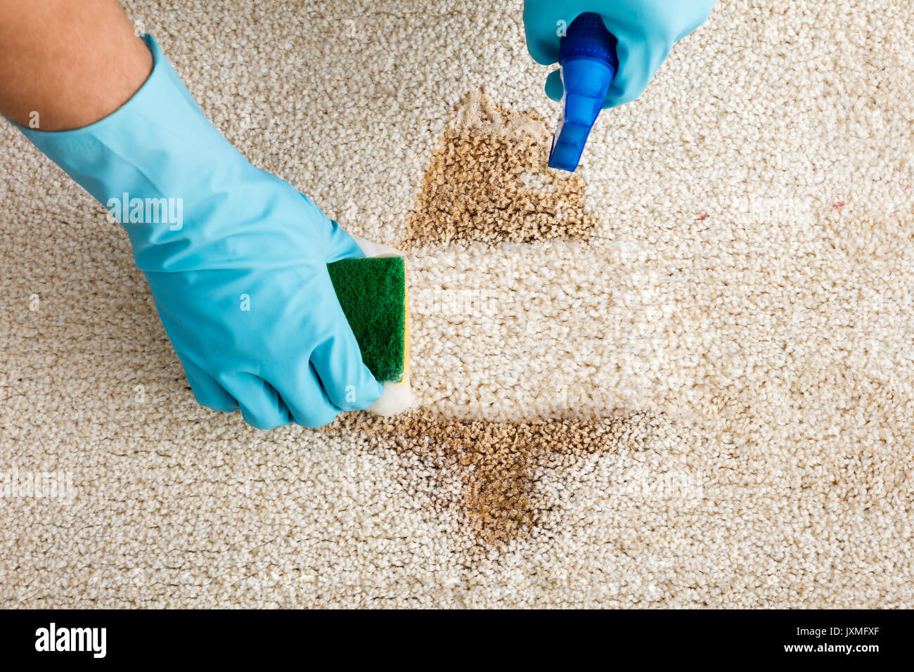 Close-up Of Person's Hand Cleaning Stain With Sponge On Carpet Stock ...