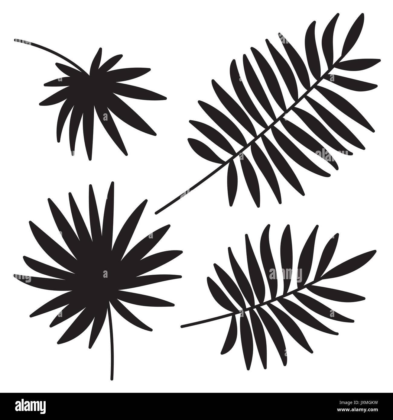 Palm leaf set on white background Stock Vector Image & Art - Alamy