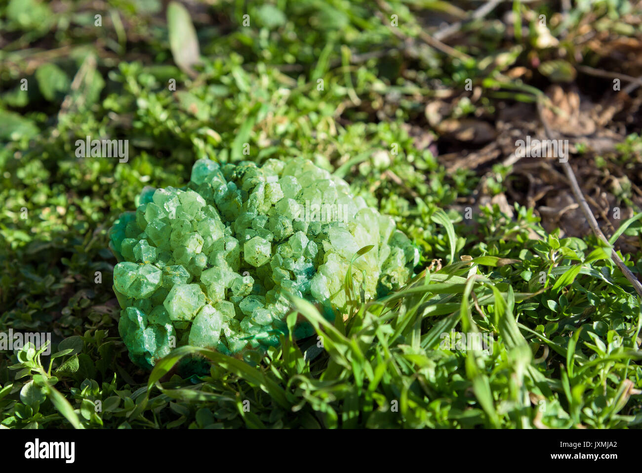 Green gemstone mineral on grass Stock Photo - Alamy