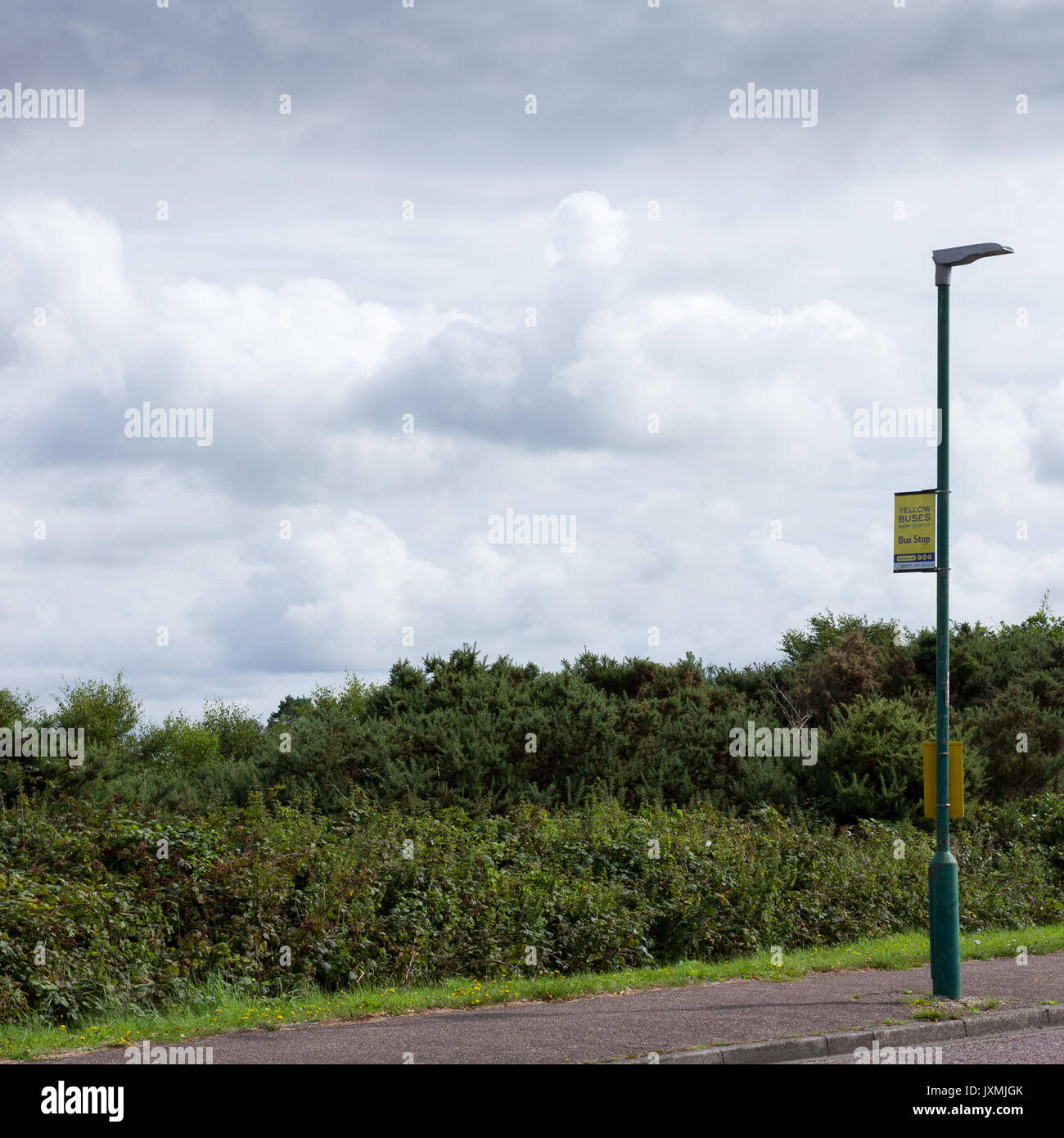 Turbary common hi-res stock photography and images - Alamy